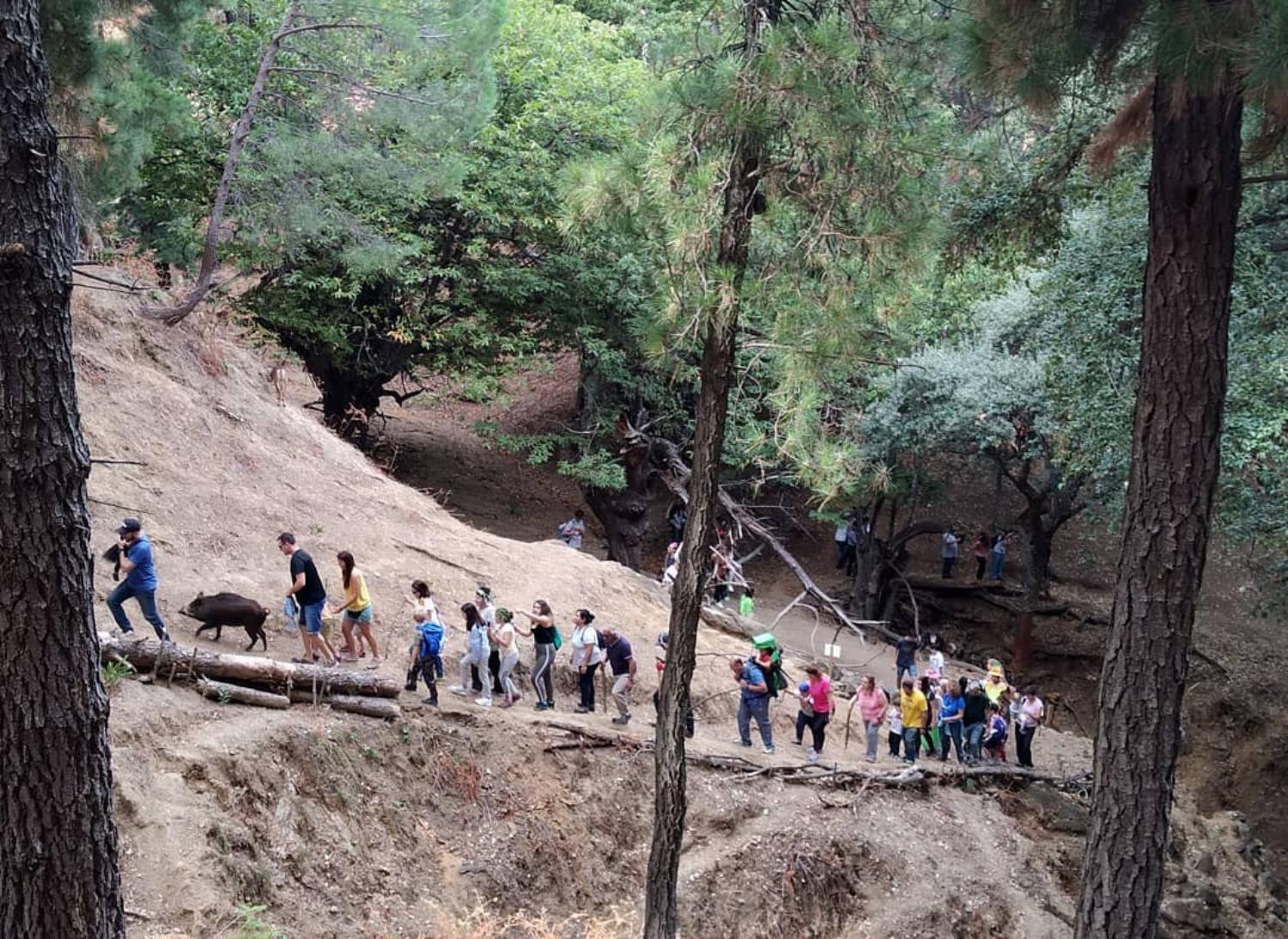 Senderismo familiar en Eco Reserva Ojén - costadelsol.eco